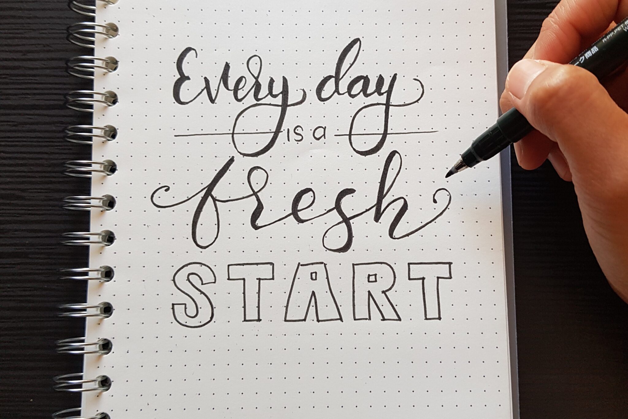 Best Version | Donna Barnes