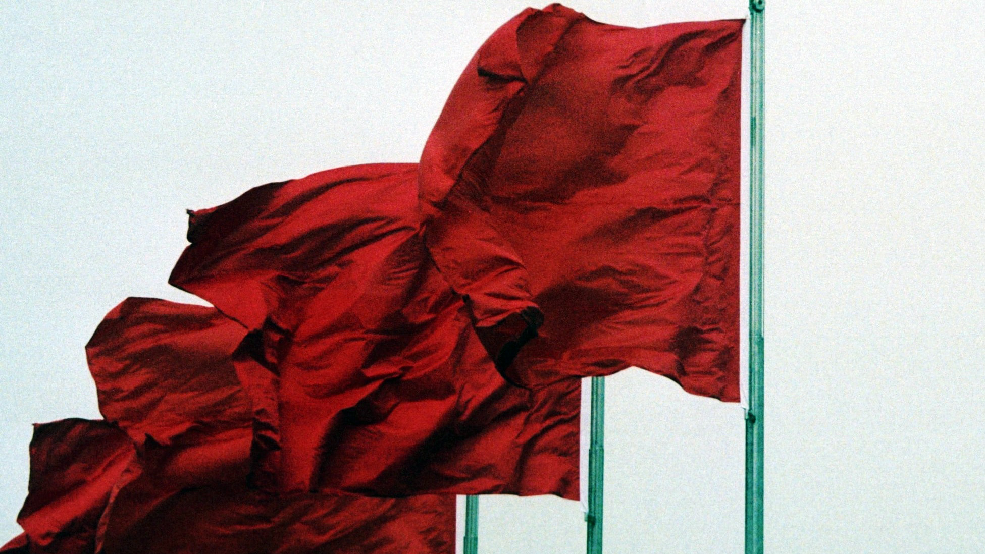 Red Flags | Donna Barnes